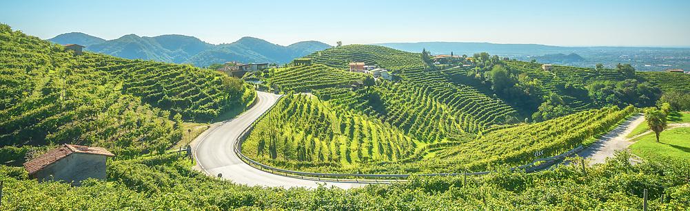 La strada del Prosecco | Valdo