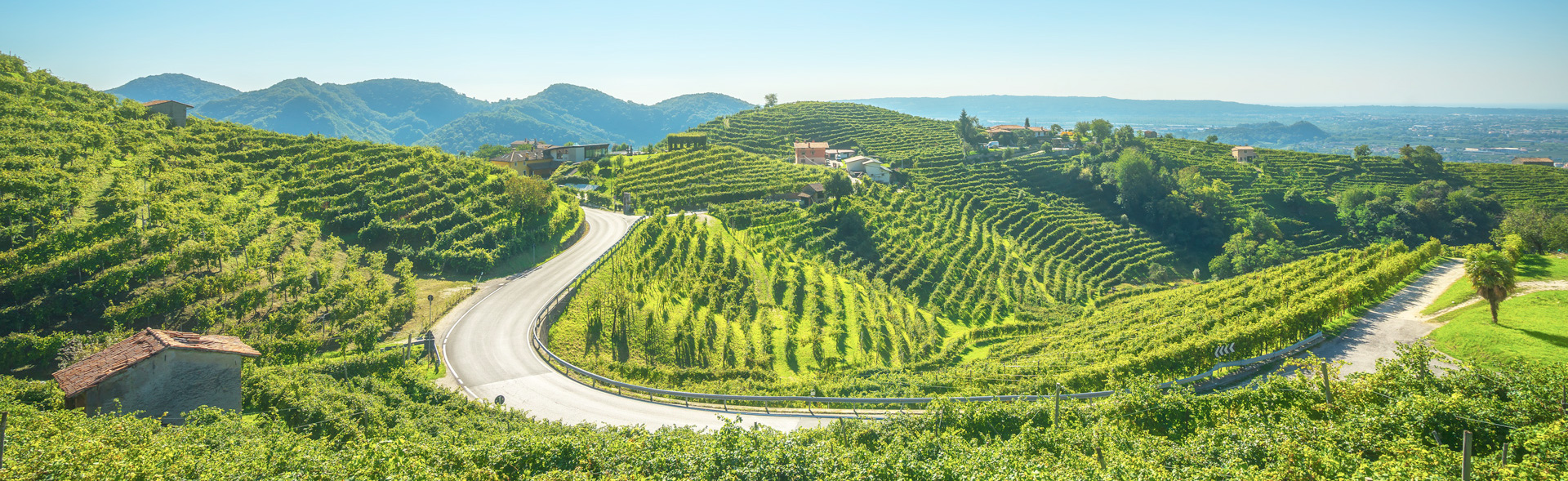 The Prosecco Route | Valdo